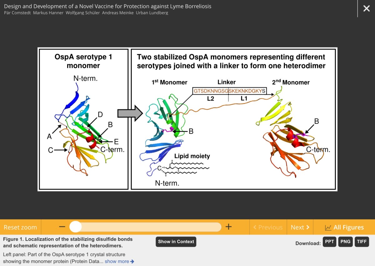 Fighting LYMErix 2.0